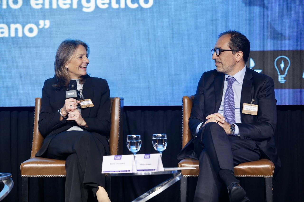 Energía en el verano: el Gobierno inició reuniones con empresas ...